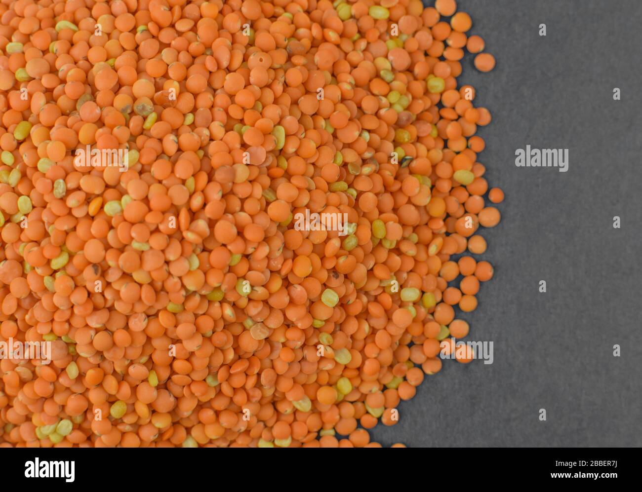 Stack of orange lentil seeds gathered together before a solid dark gray ...