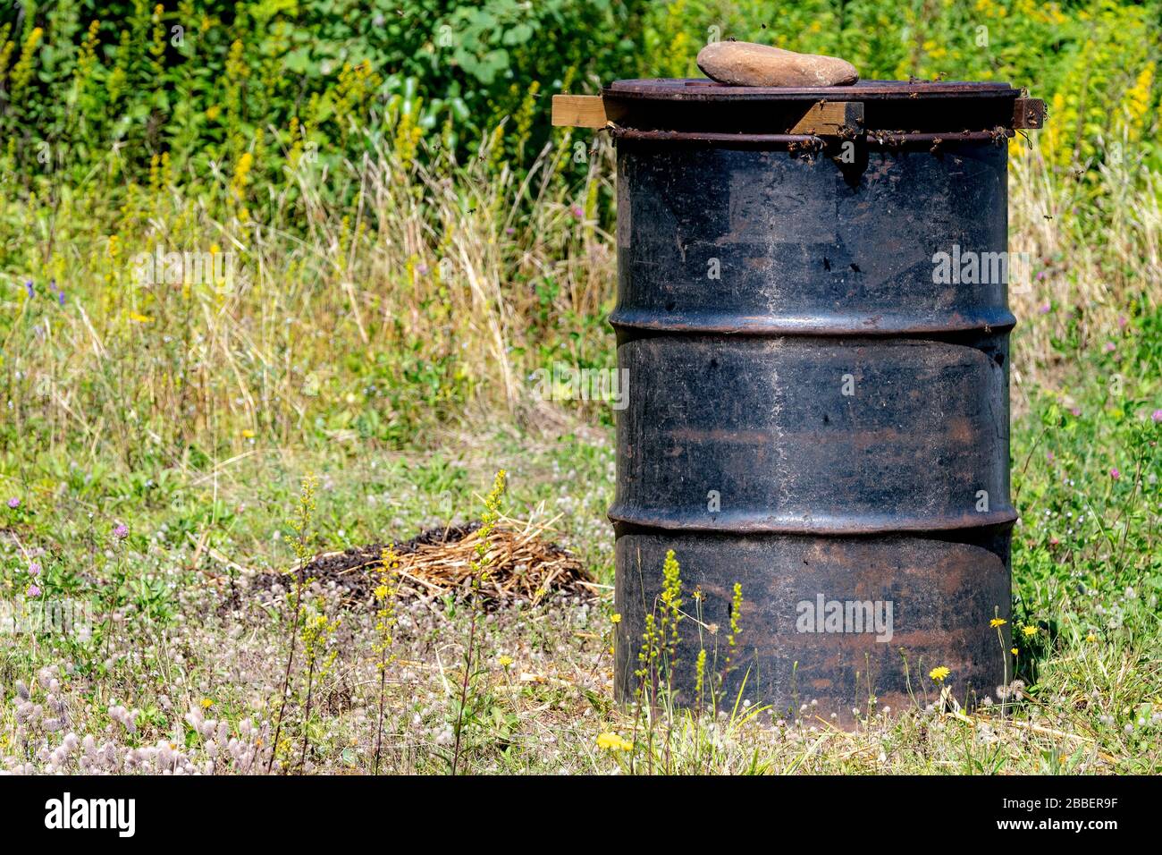 A black barrel being used as a bee feeder. Barrels containing sugar ...