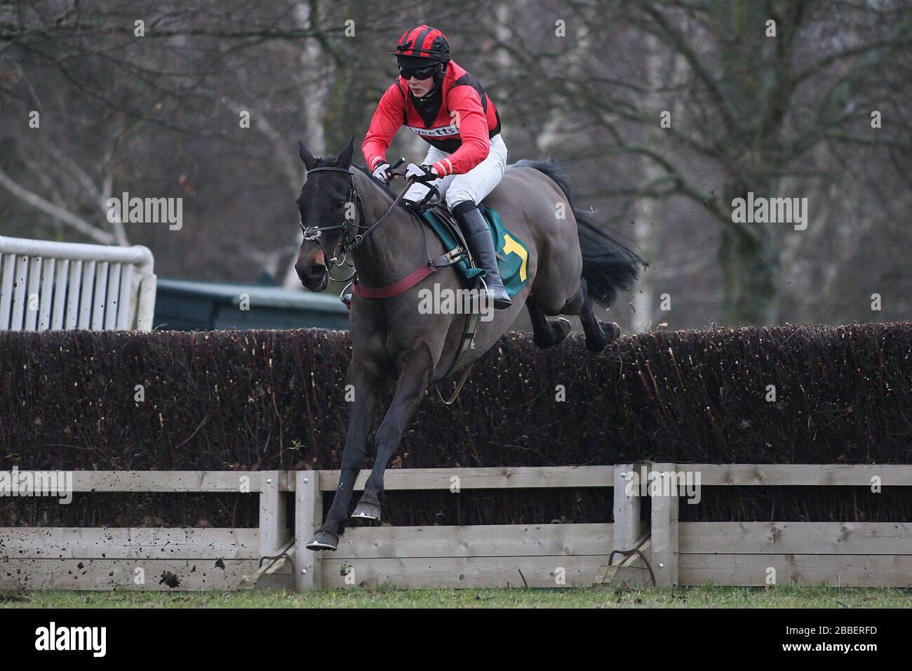 Eleazar ridden by Mr M G Nolan in jumping action during the Walter ...