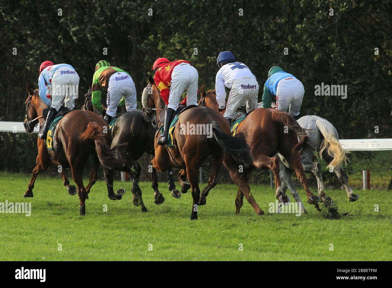 The field in racing action during the October Handicap Chase Stock ...