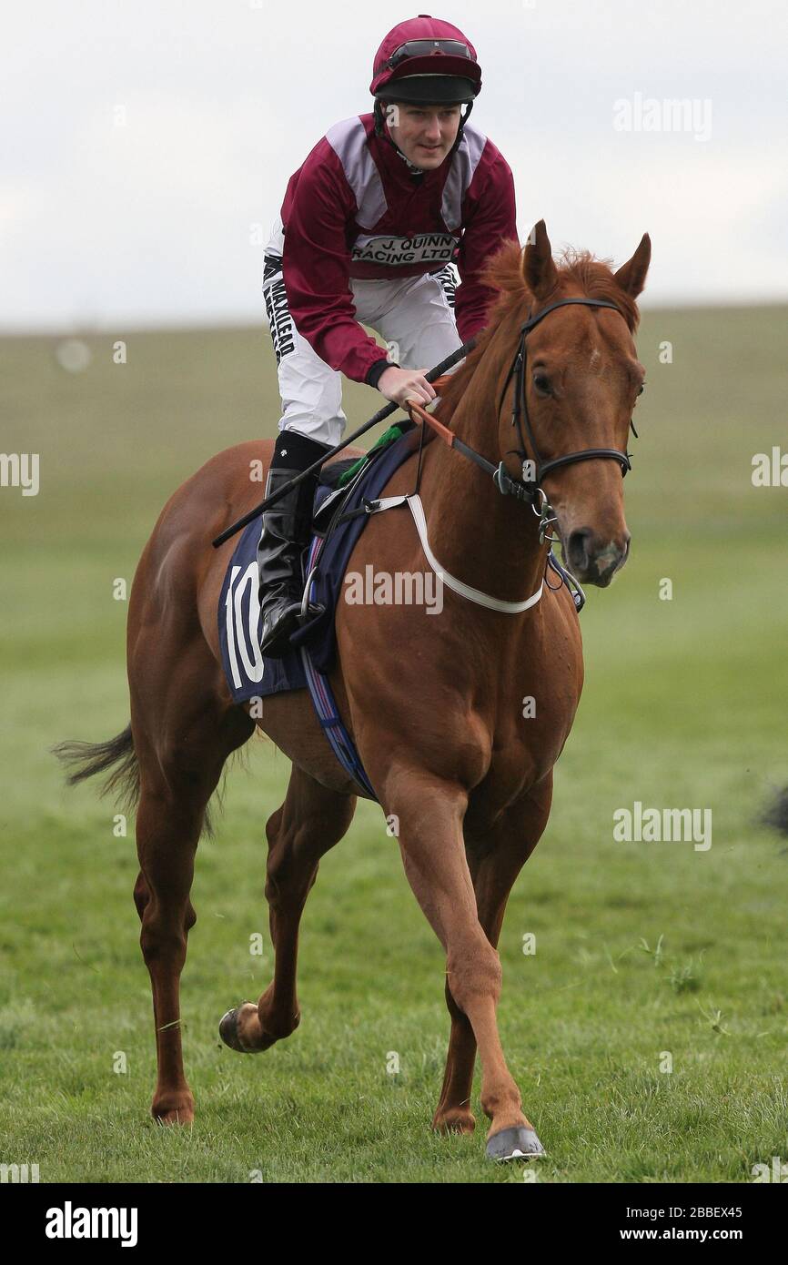 Jockey tom queally hi-res stock photography and images - Alamy