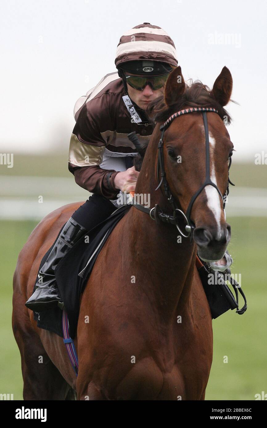 Minstrels Gallery ridden by Frederik Tylicki Stock Photo - Alamy