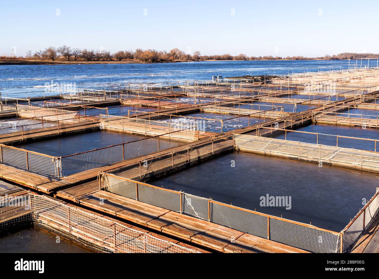 Cages for fish farming in the natural river Stock Photo - Alamy