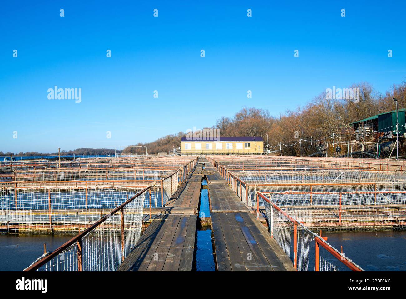 Cages for fish farming in the natural river Stock Photo - Alamy