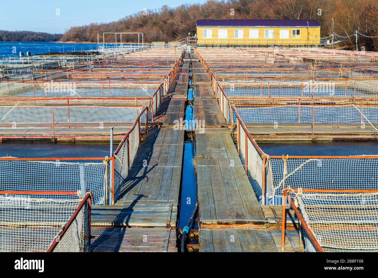 Cages for fish farming in the natural river Stock Photo - Alamy