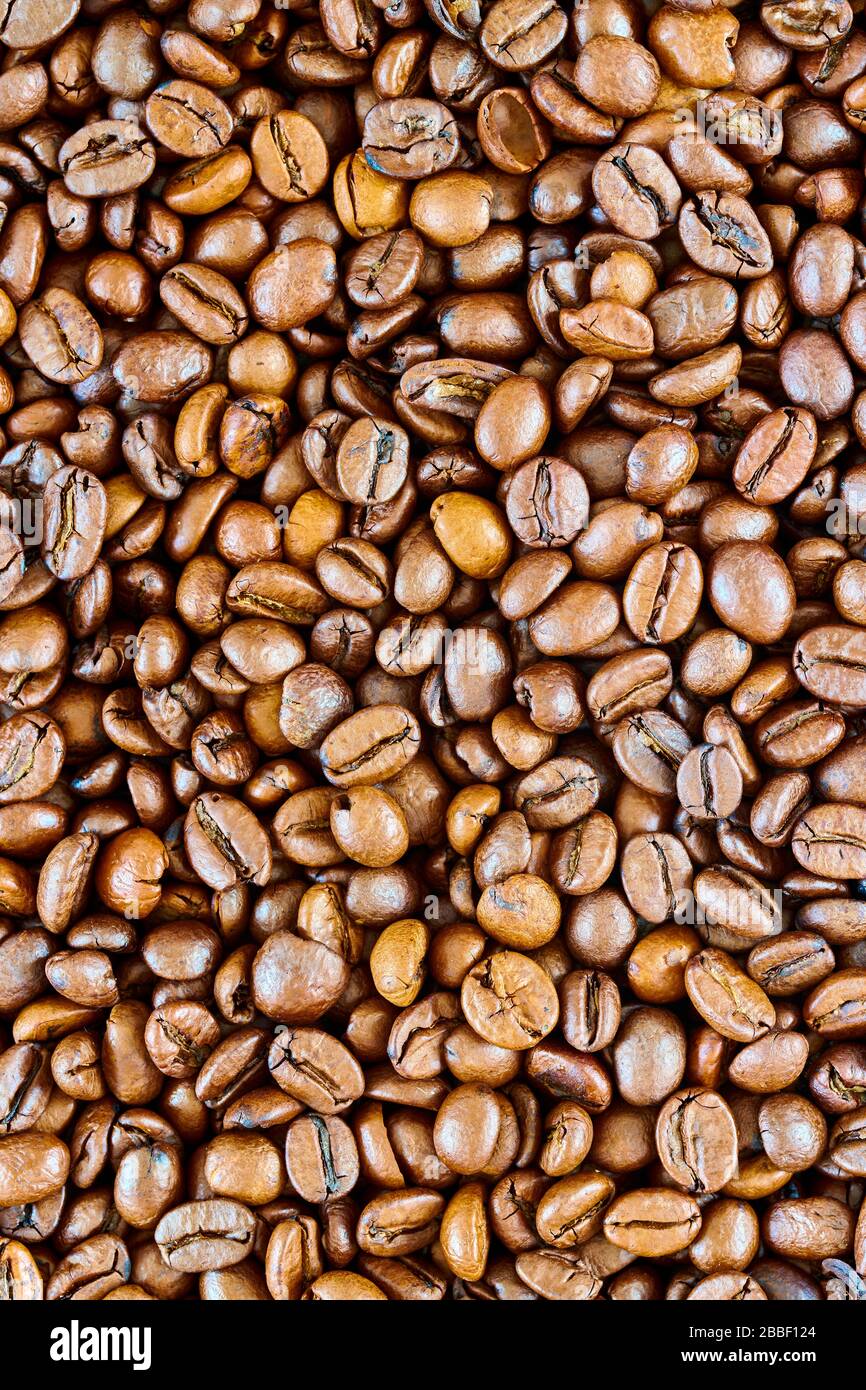 Rectangular shaped collection of coffee beans Stock Photo - Alamy