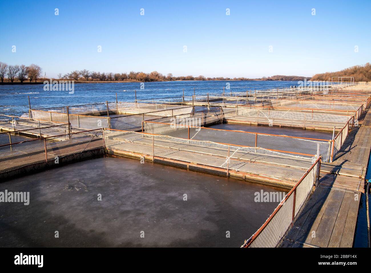Cages for fish farming in the natural river Stock Photo - Alamy