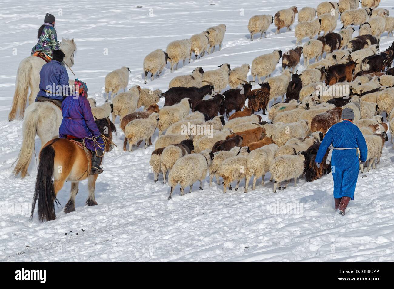 Seasonal Migration