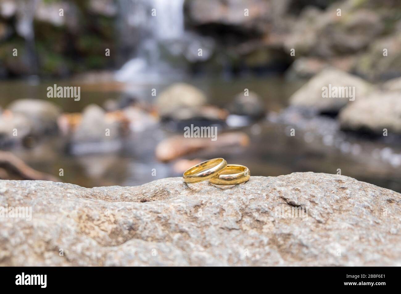 Rings of lovers, one carries the other. Engagement ring. The rings on a ...