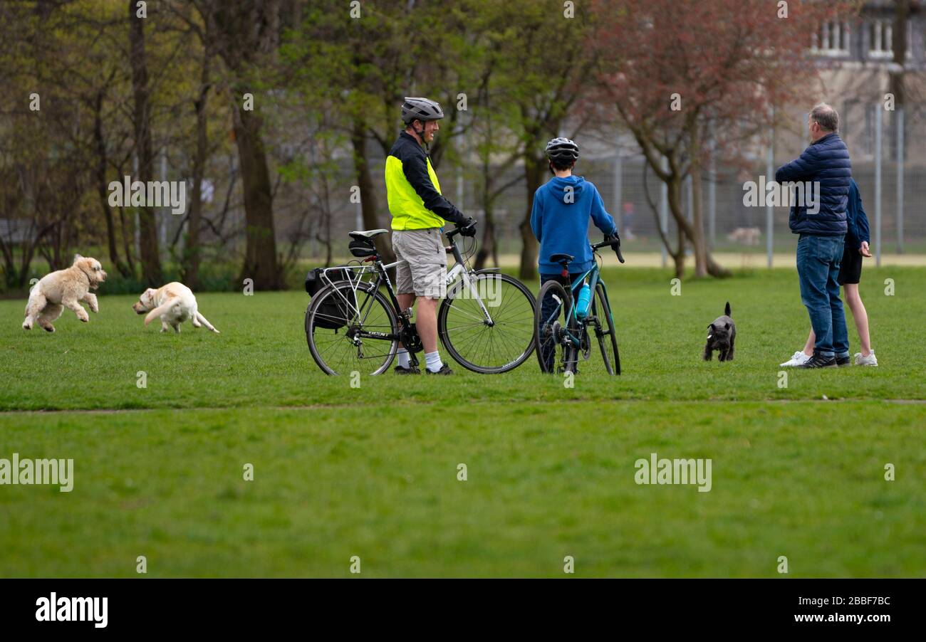 Public parks hi-res stock photography and images - Alamy