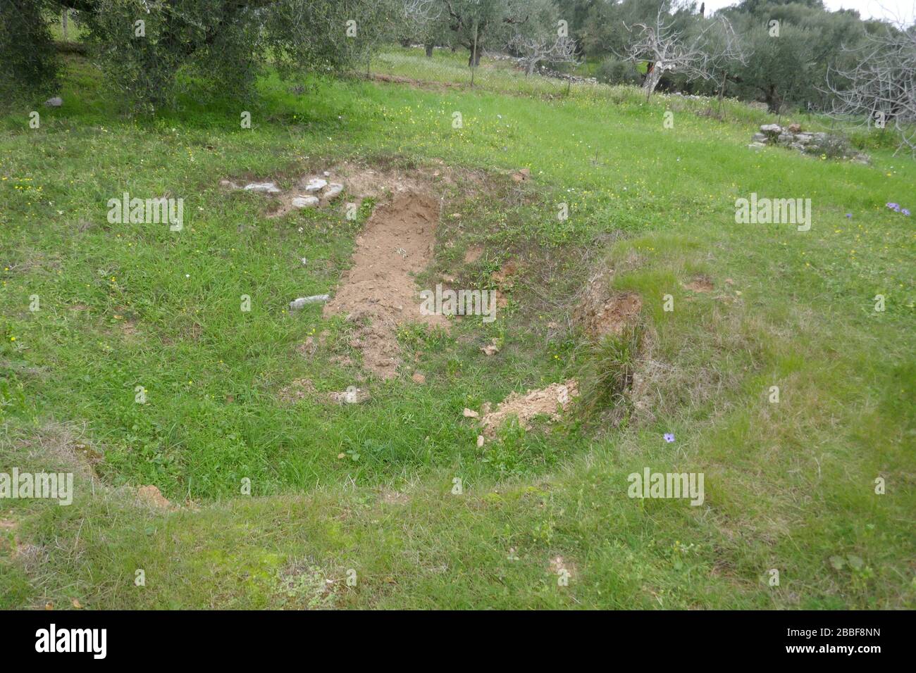 Nichoria hi-res stock photography and images - Alamy