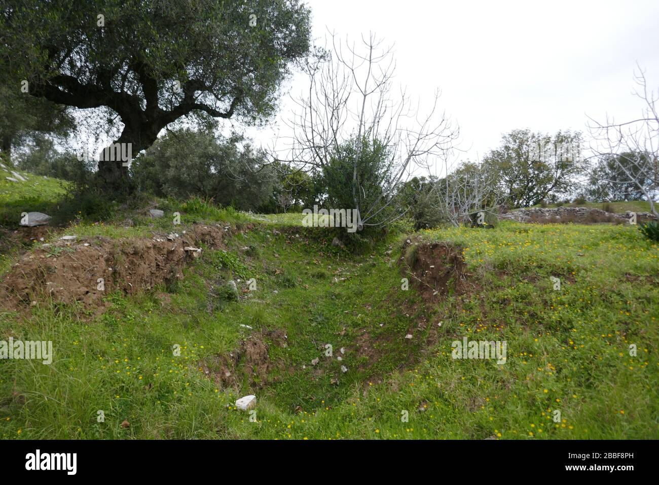 Nichoria hi-res stock photography and images - Alamy