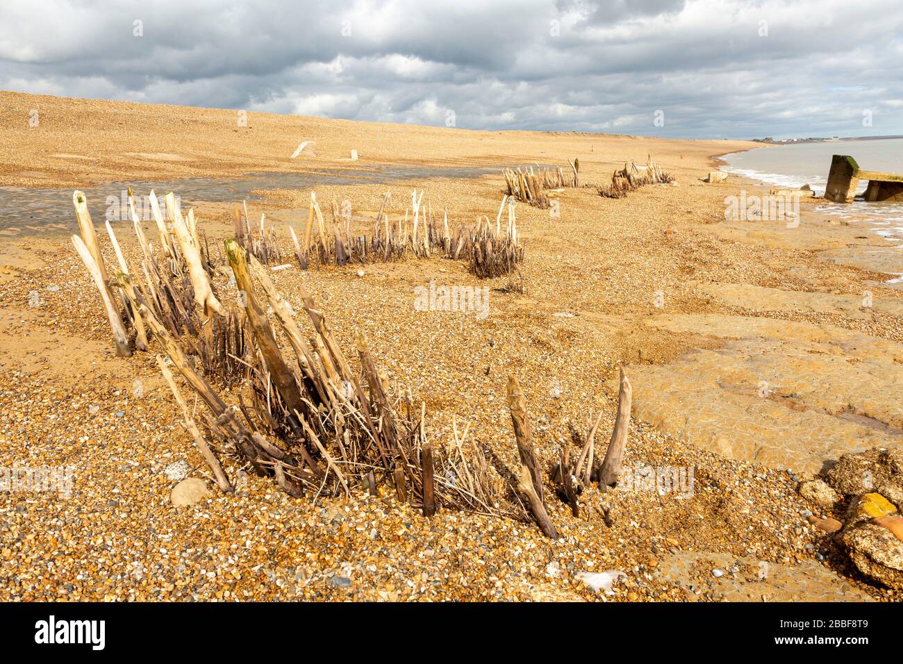 Revealed historic wooden defences hi-res stock photography and images ...
