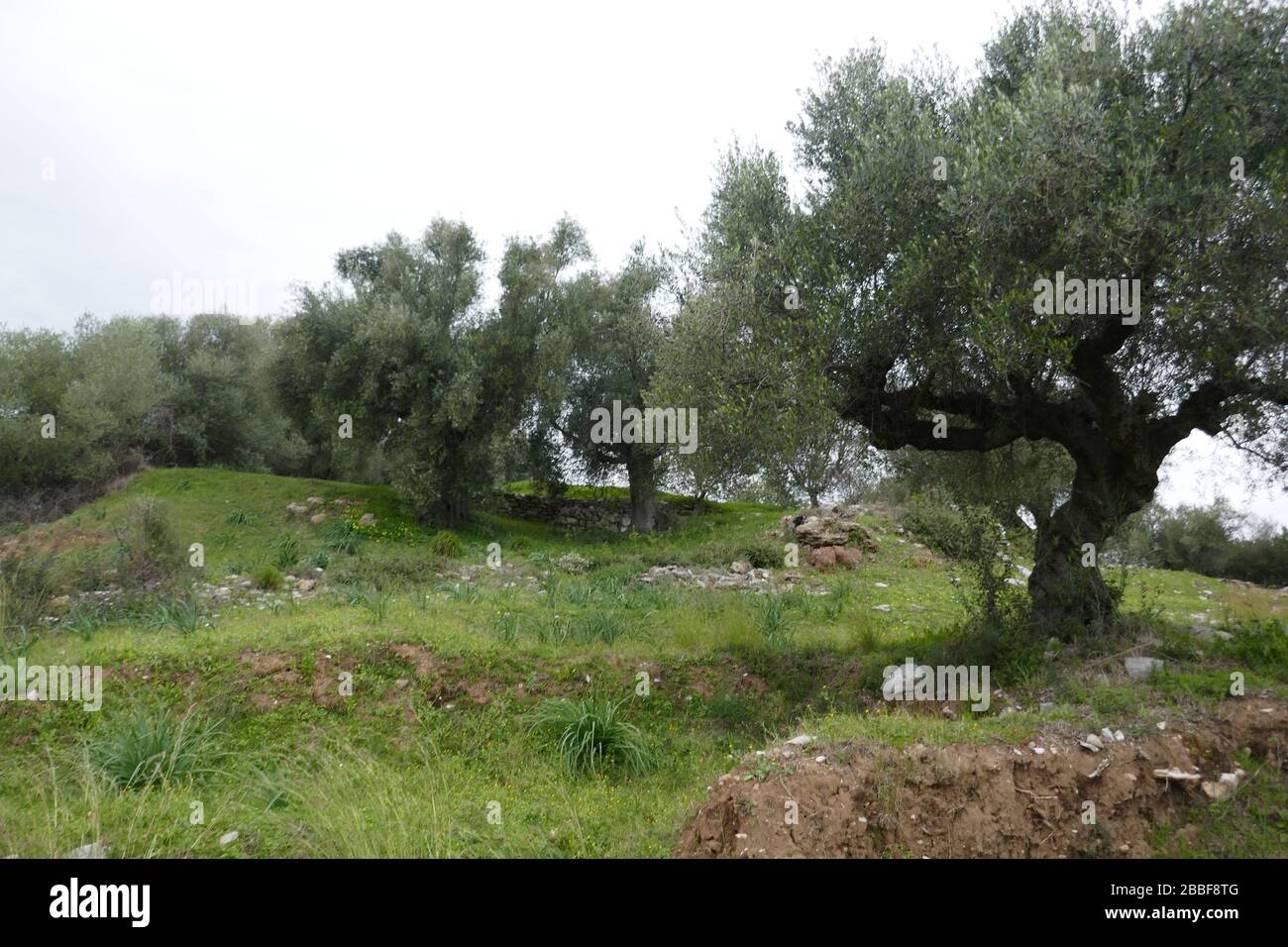 Mycenaean vaulted tomb Nichoria Karpofora Stock Photo - Alamy
