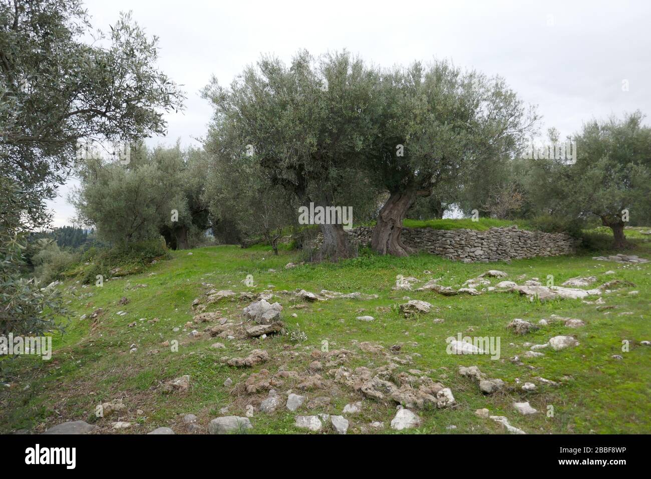 Nichoria hi-res stock photography and images - Alamy