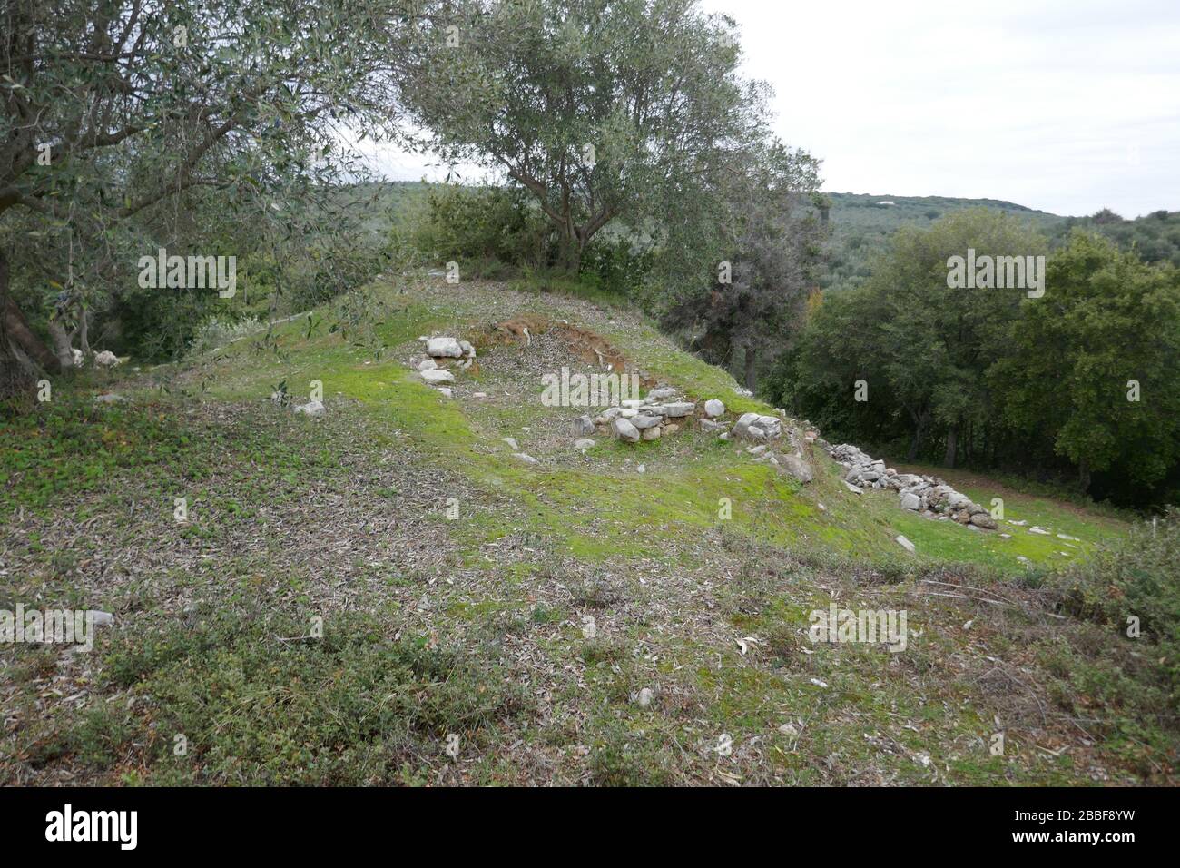 Nichoria hi-res stock photography and images - Alamy