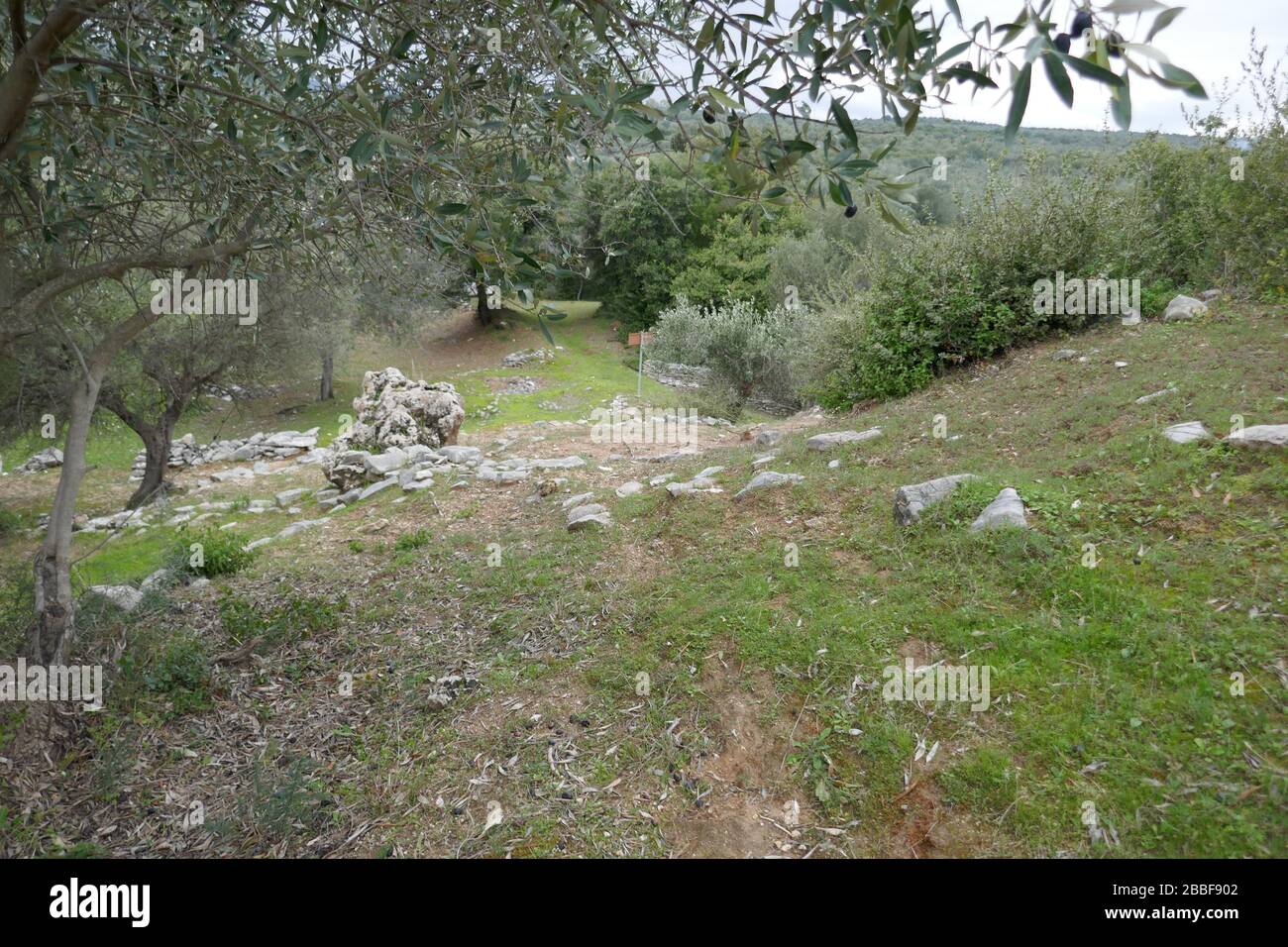 Nichoria hi-res stock photography and images - Alamy