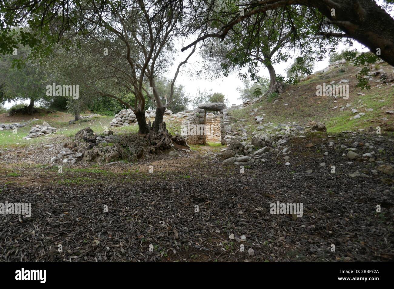 Nichoria hi-res stock photography and images - Alamy