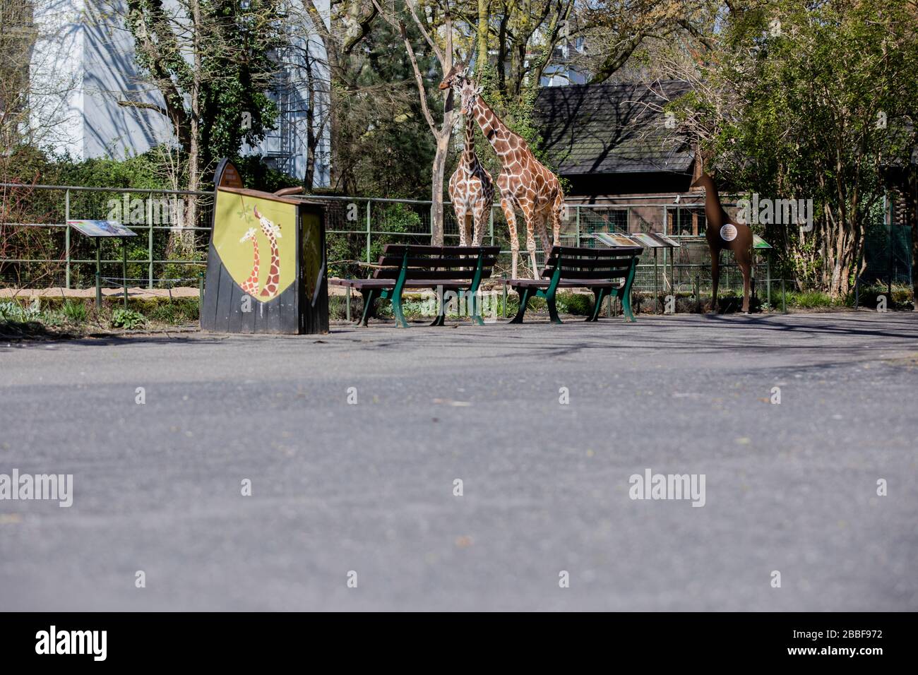 Cologne Zoo Enclosure High Resolution Stock Photography and Images - Alamy