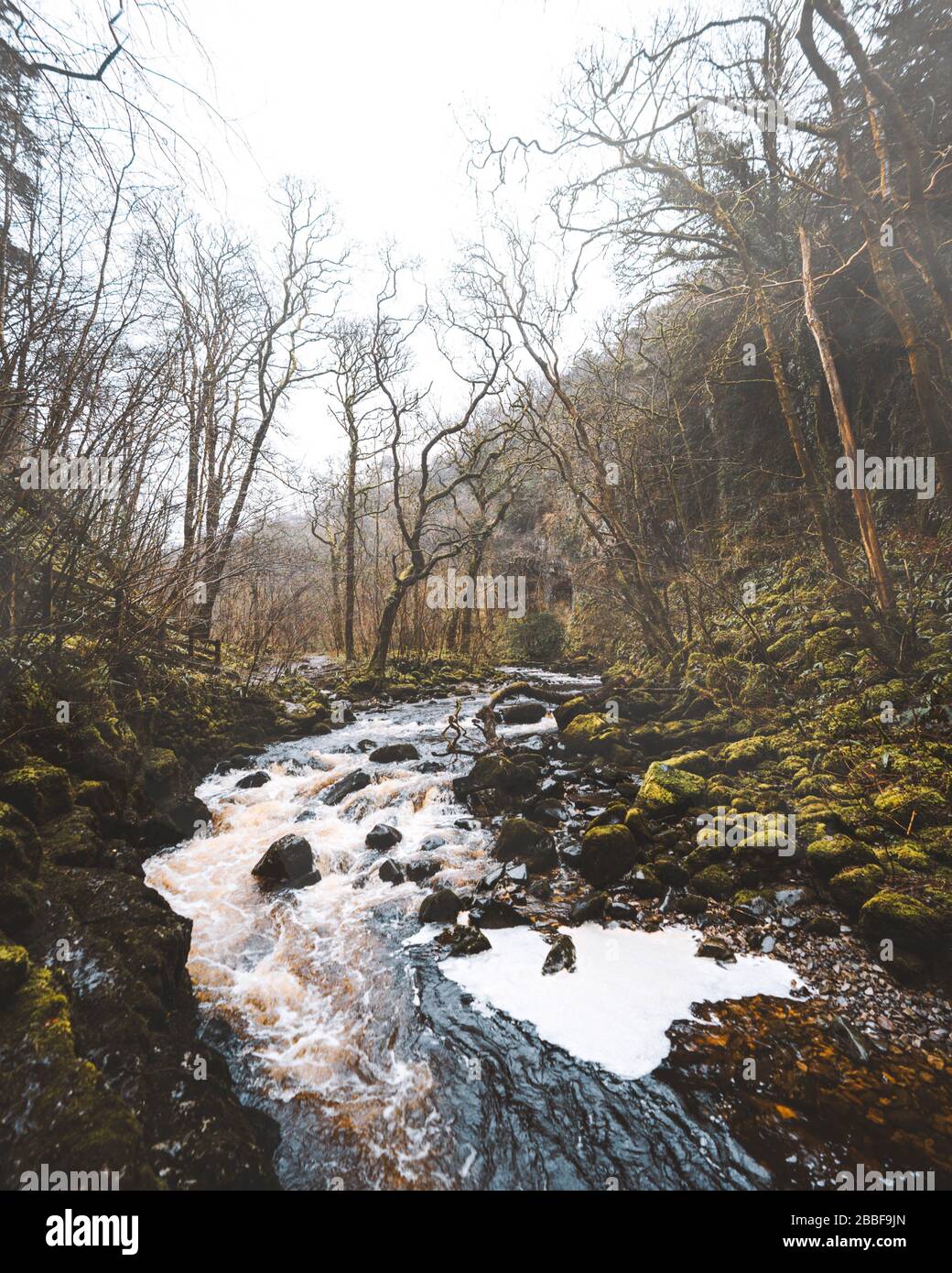Ingleton falls trail 1 Stock Photo - Alamy