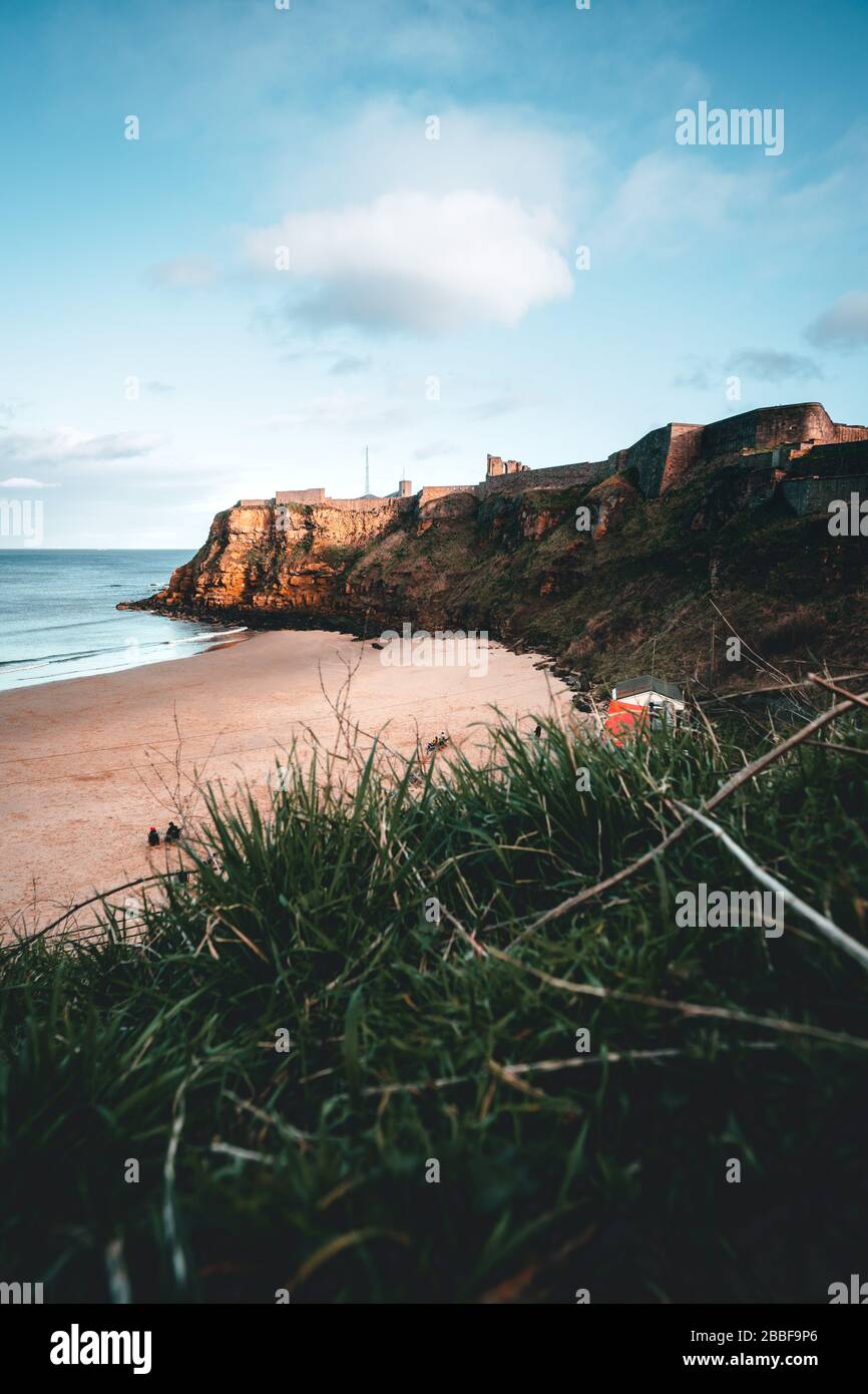 On tynemouth beach hi-res stock photography and images - Alamy