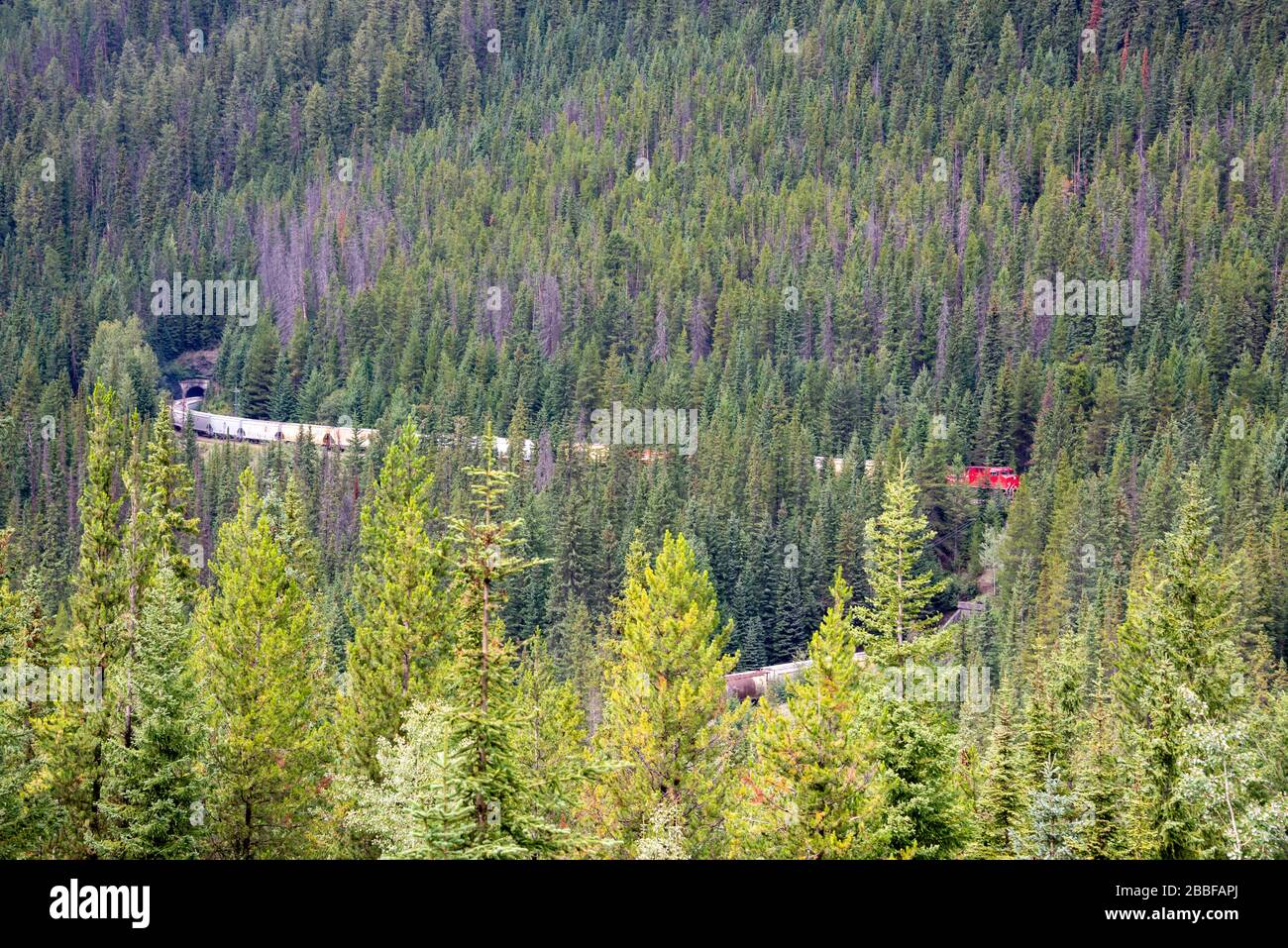 Train spiraling over itself in a spiral tunnel, in Yoho National park ...