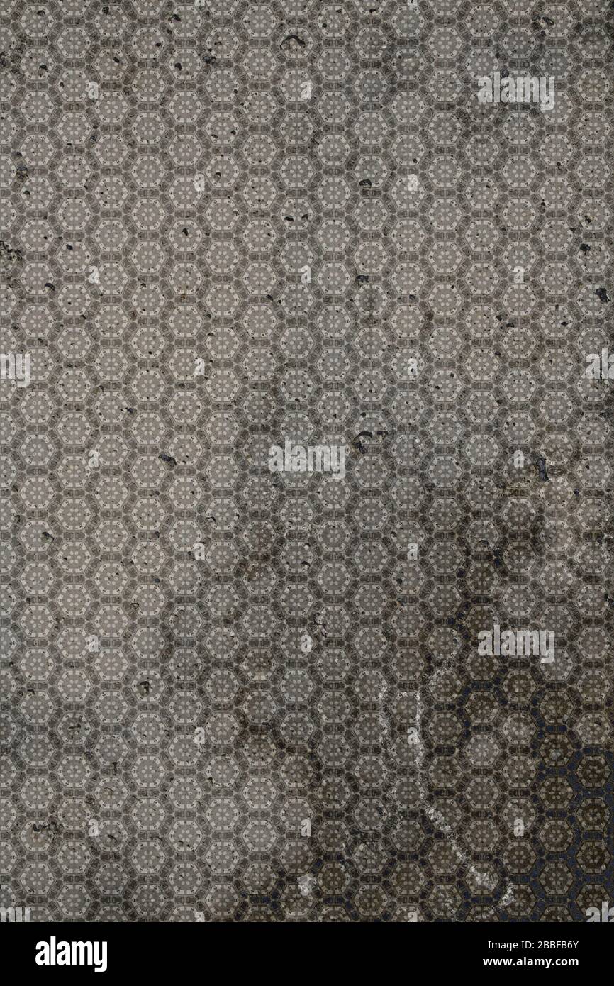 Water damaged floor with mould stains Stock Photo - Alamy