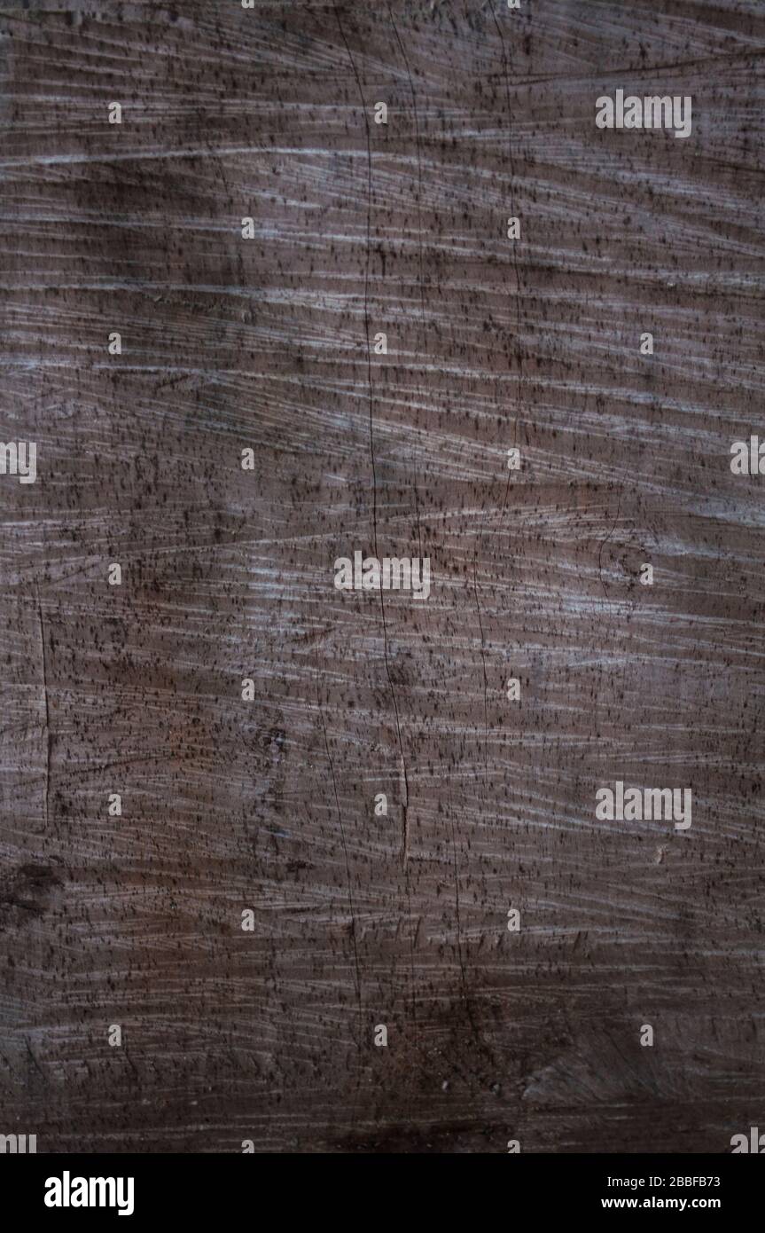 cross section of tree trunk, dirty tree with traces of saw, closeup ...