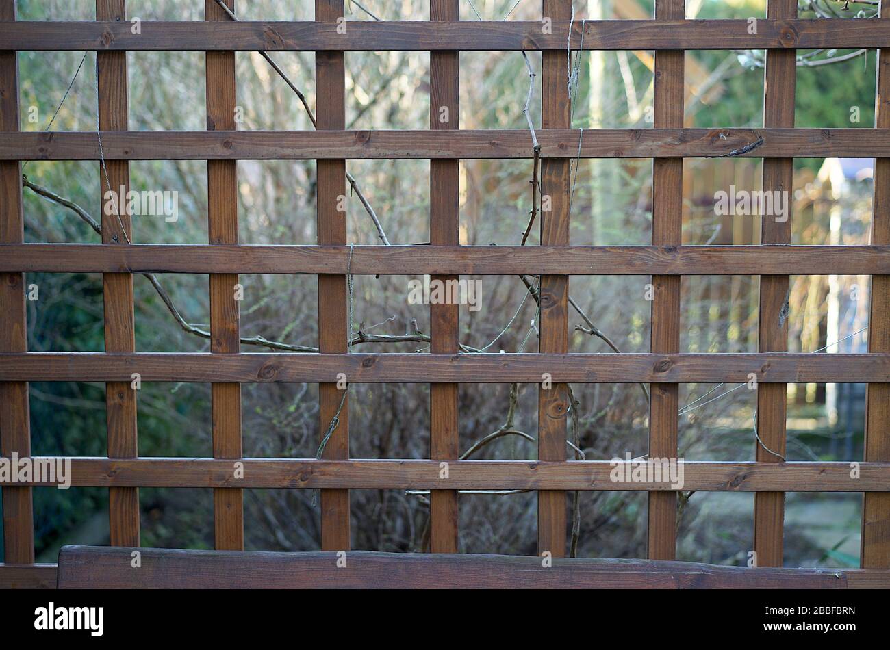 openwork wall of garden gazebo made of wooden slats Stock Photo - Alamy