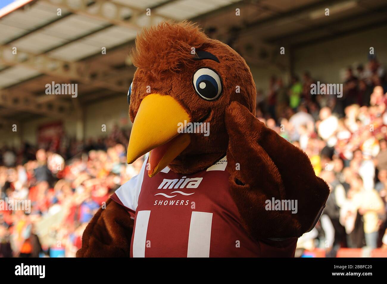 Cheltenham Town mascot Whaddney the Robin before kick off Stock Photo ...