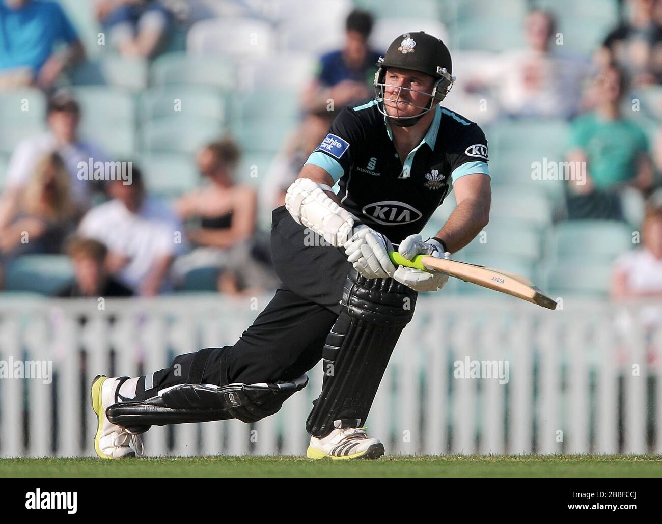 Graeme smith not insect hi-res stock photography and images - Alamy