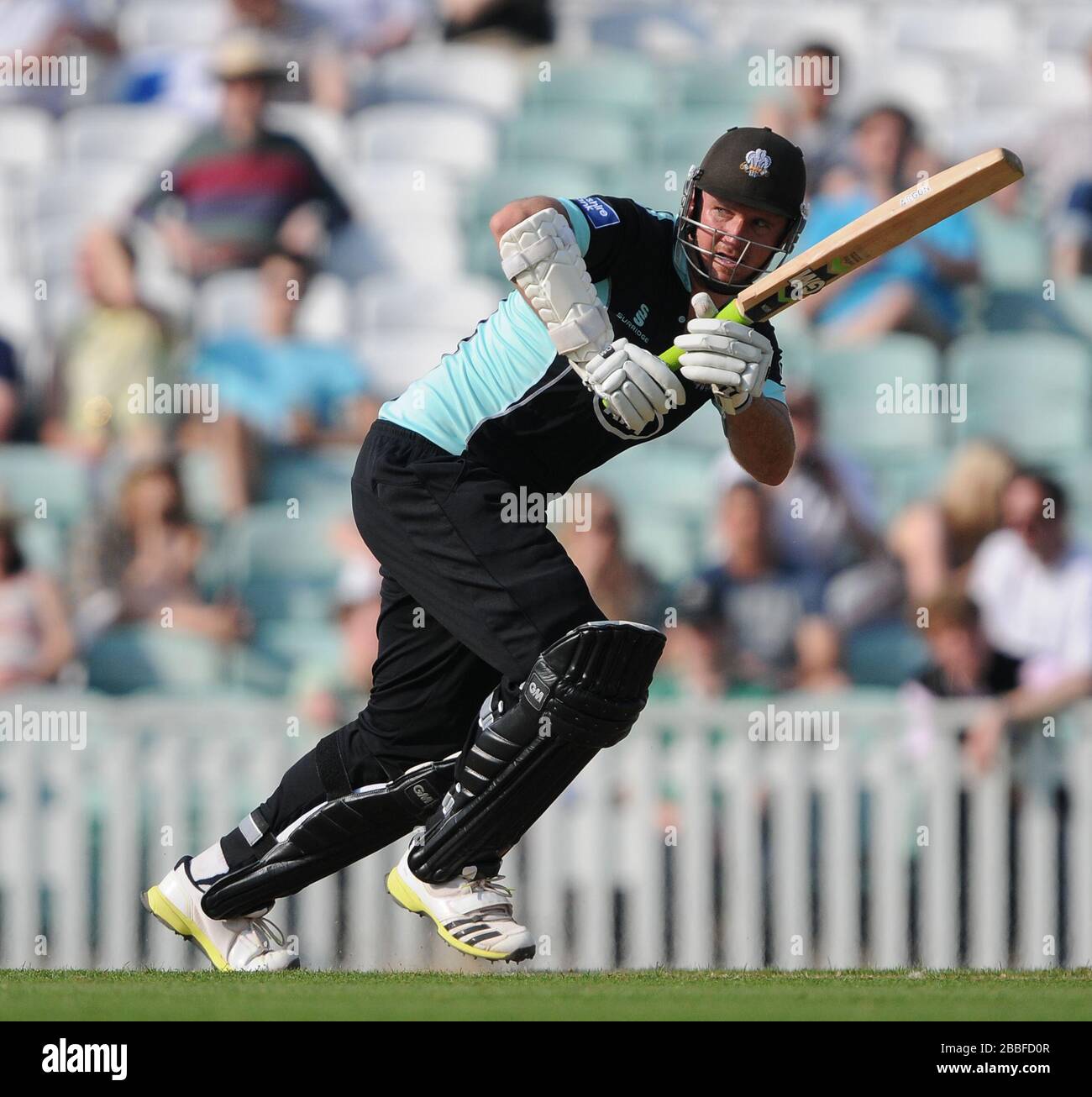 Graeme smith not insect hi-res stock photography and images - Alamy
