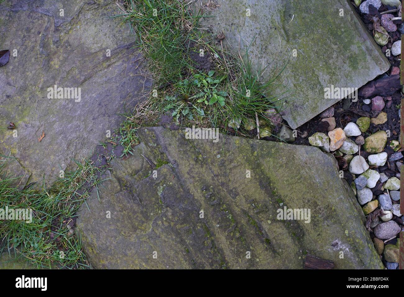 flat stones on a path in the garden Stock Photo - Alamy