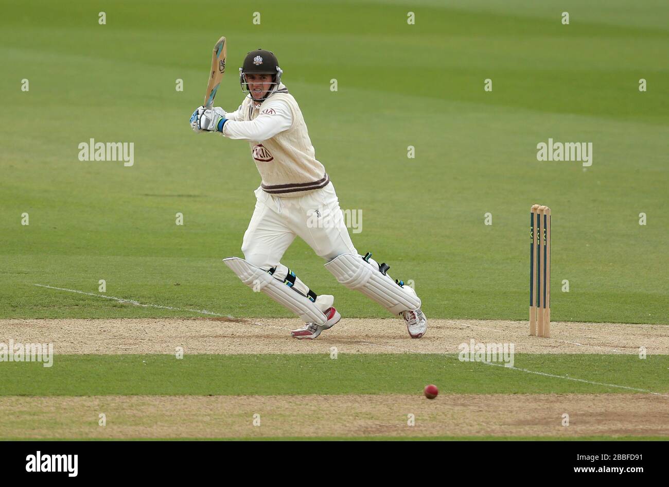 Surrey's Steven Davies Stock Photo - Alamy