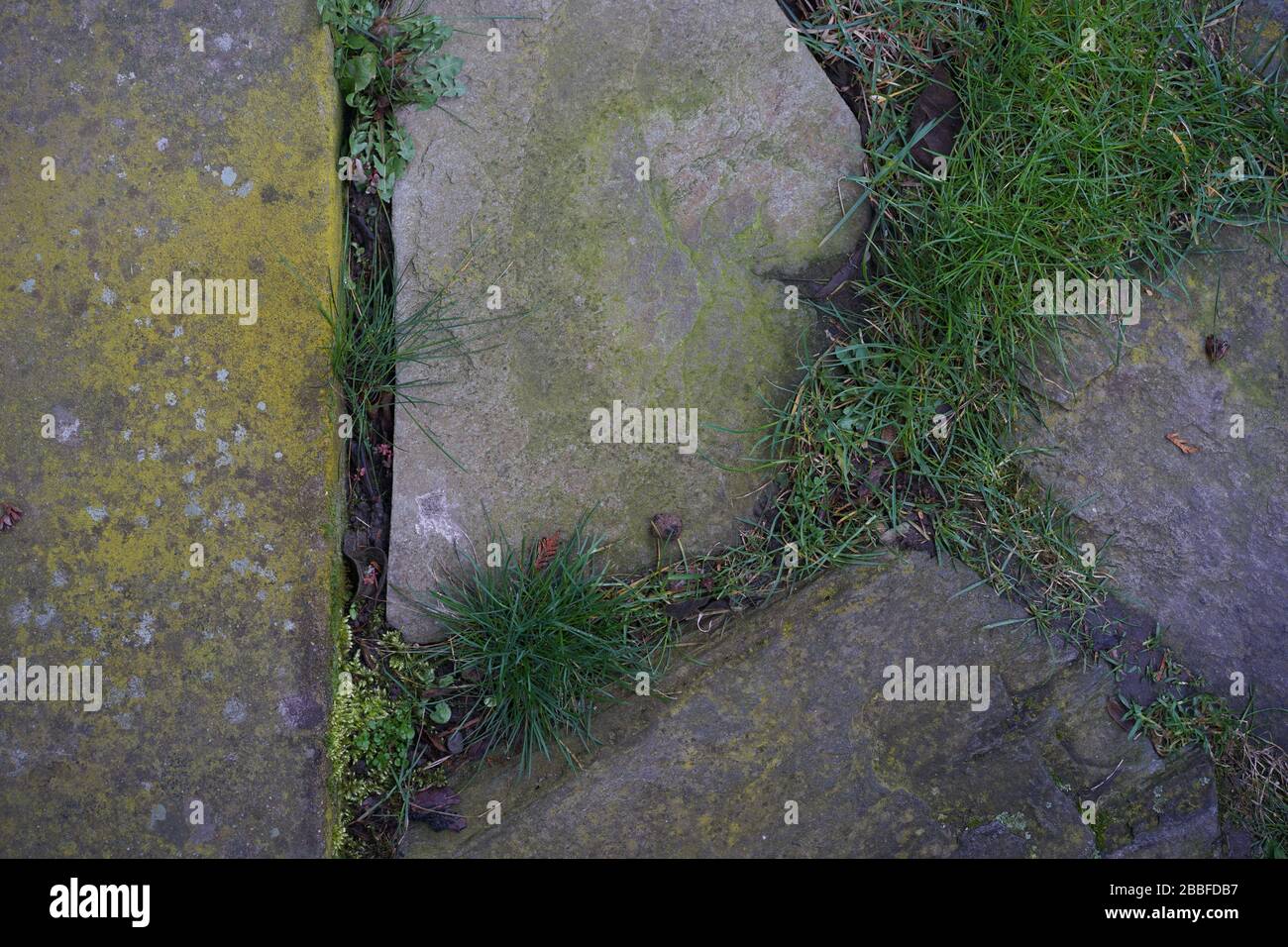Flat stone grass hi-res stock photography and images - Alamy
