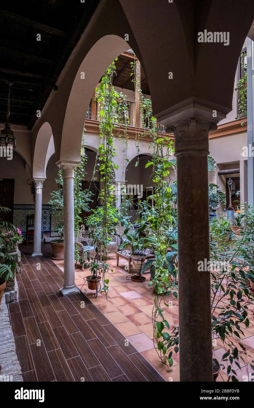 Patios, , Seville, Andalucia, Spain Stock Photo - Alamy