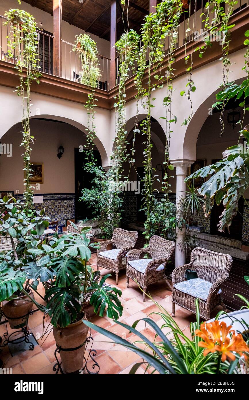 Patios, Seville, Andalucia, Spain Stock Photo - Alamy