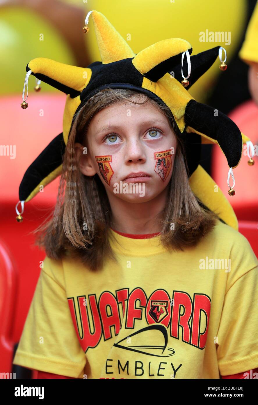 Watford fan in stands hi-res stock photography and images - Alamy