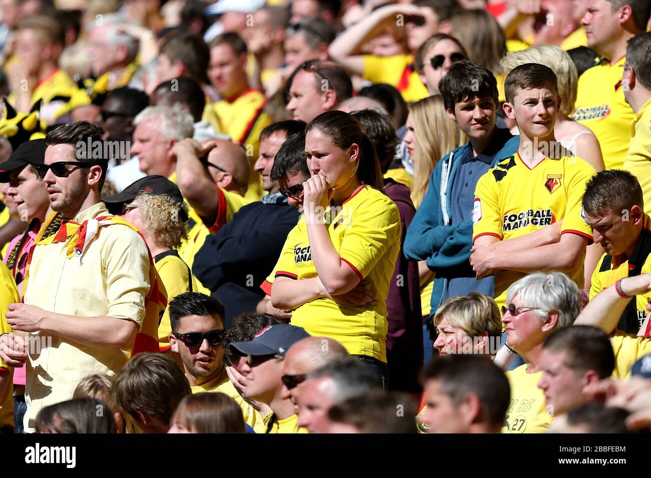 Watford fans in stands hi-res stock photography and images - Alamy