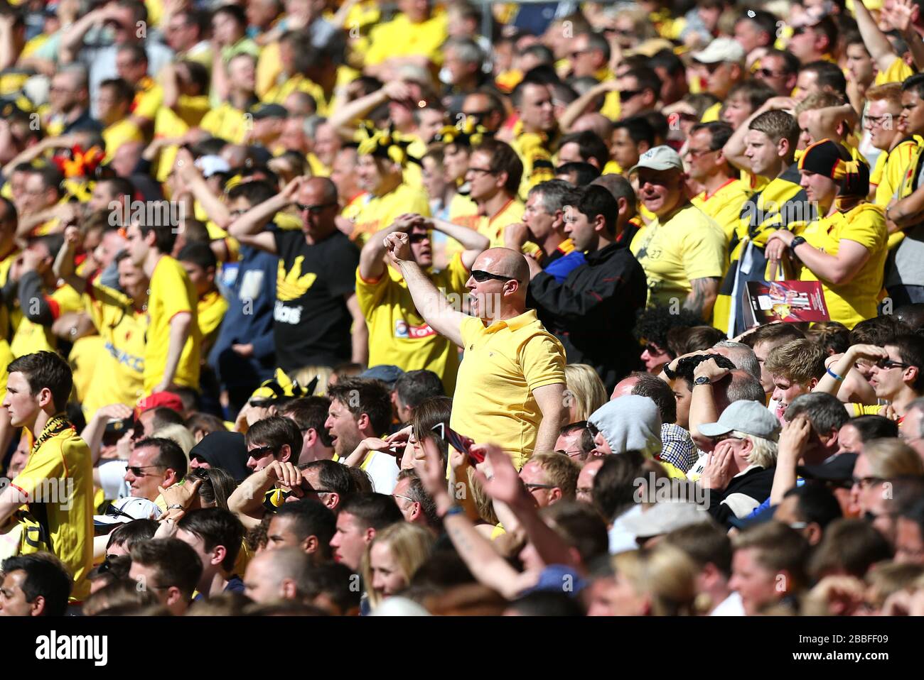 Watford fans in the stands Stock Photo - Alamy