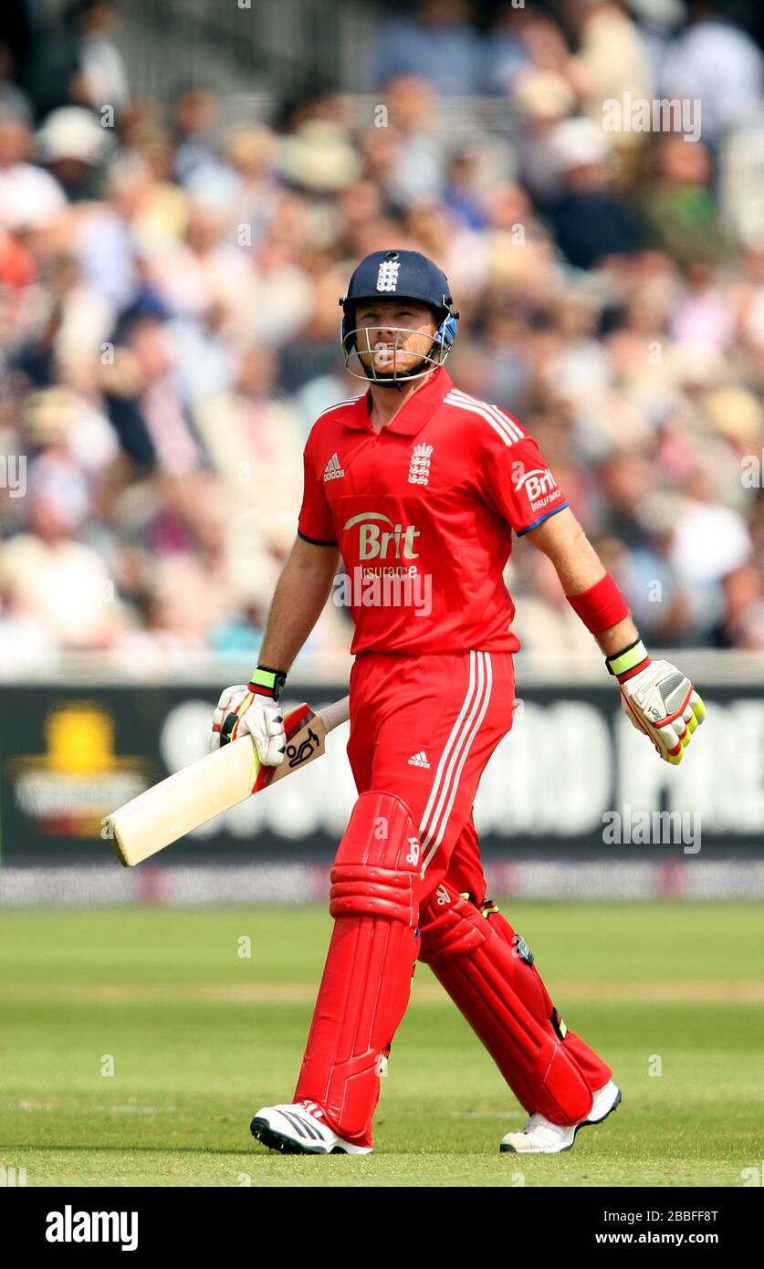 Englands ian bell leaves the field after being caught out hi-res stock ...