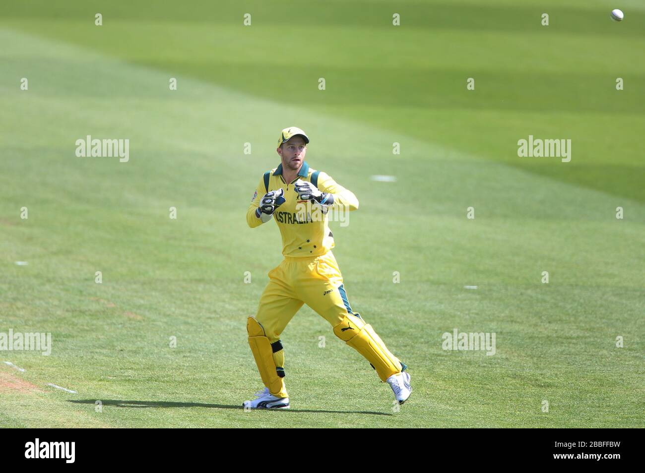 Wicketkeeper australia hi-res stock photography and images - Alamy
