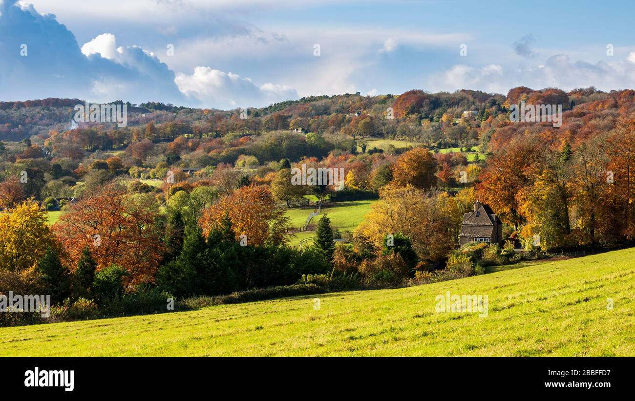 Cotwolds commons nature reserve hi-res stock photography and images - Alamy