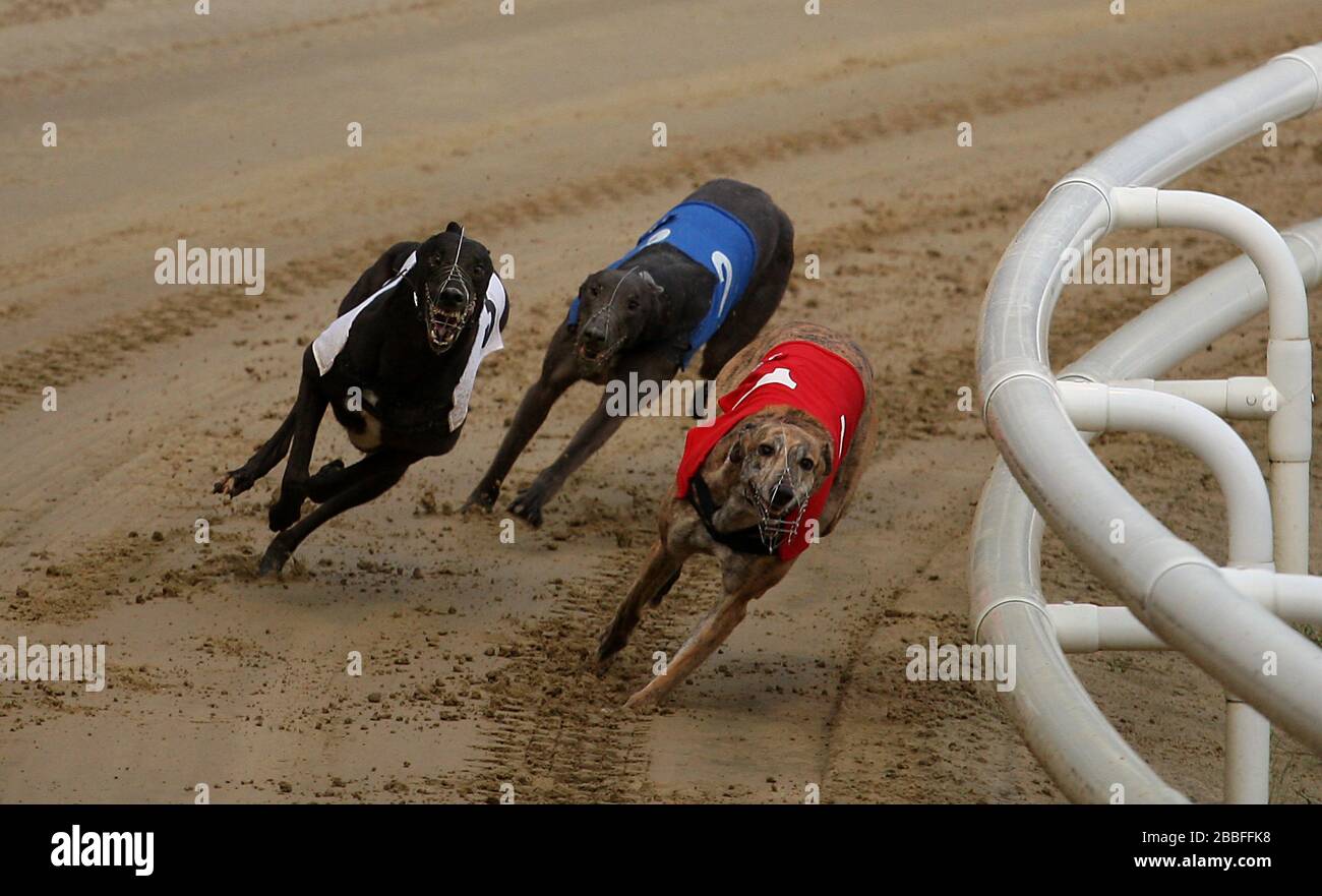 Wimbledon greyhound track hi-res stock photography and images - Alamy