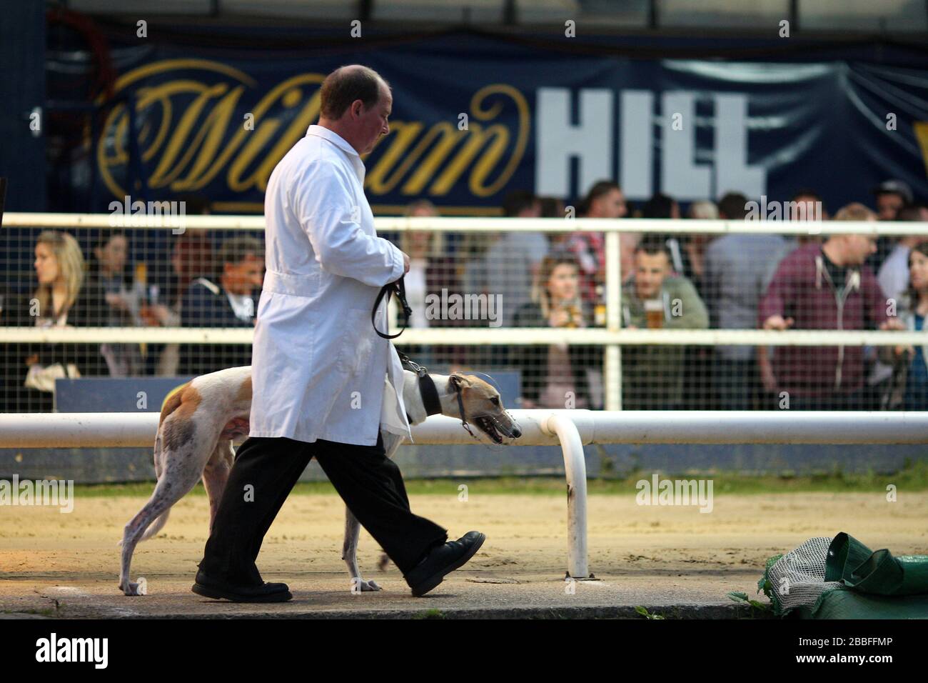 Dogs are paraded before a race at WImbledon Greyhound Stadium Stock ...