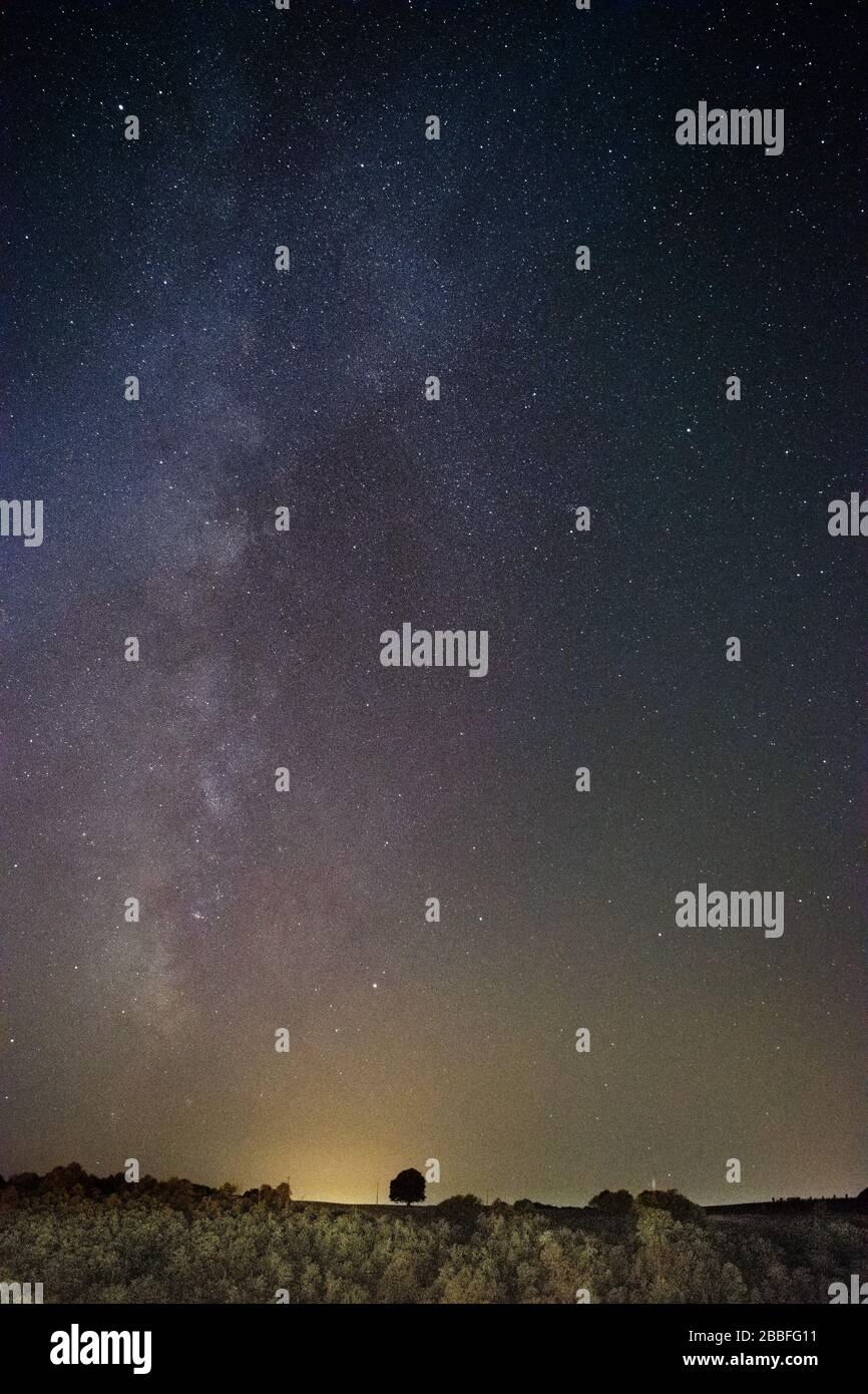Milky way stars with a tree in a field Stock Photo - Alamy