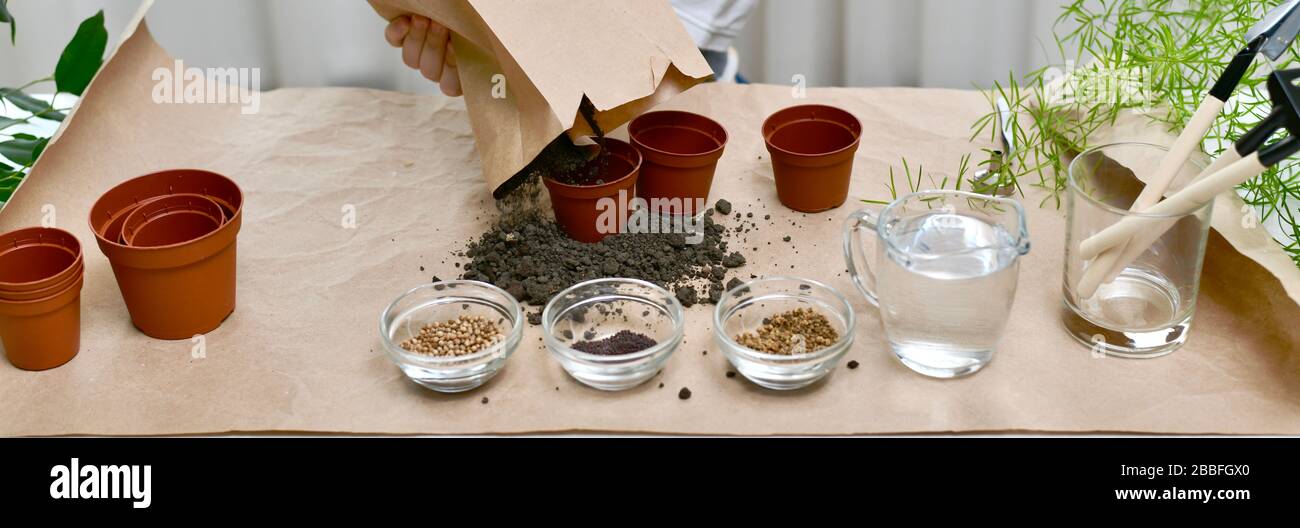 Banner format hi-res stock photography and images - Alamy