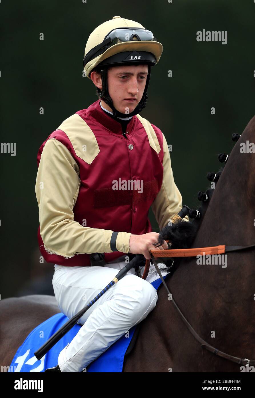 Daniel Cremin, Jockey Stock Photo - Alamy