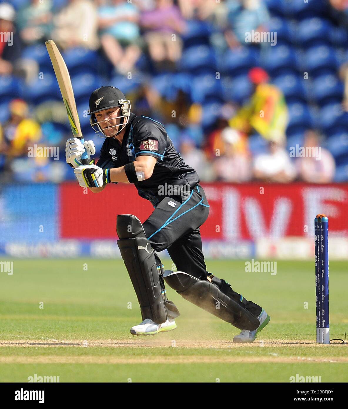New Zealand's Brendon McCullum bats during the ICC Champions Trophy ...