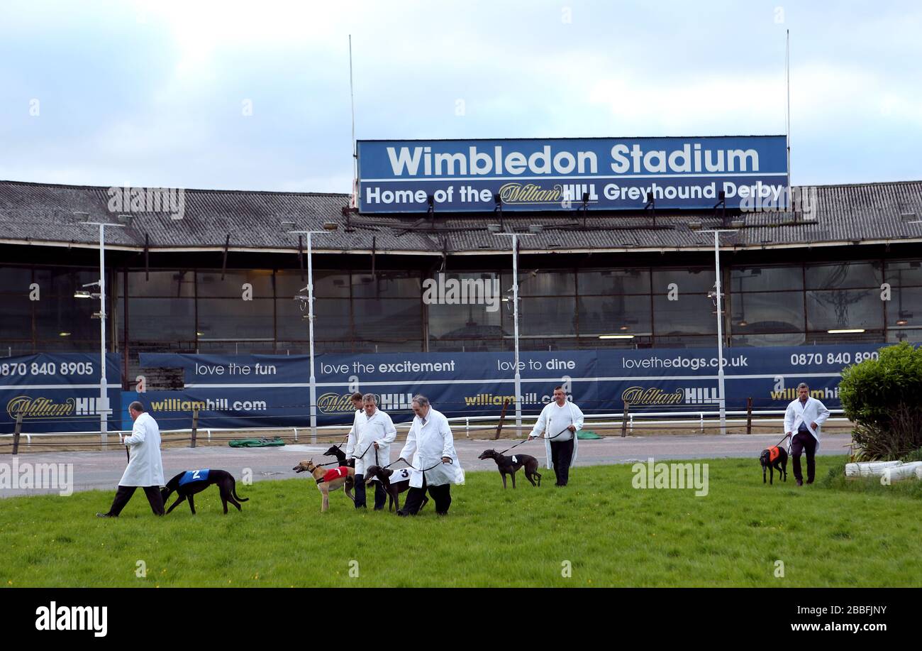 Boherna rumble no 3 white hi-res stock photography and images - Alamy